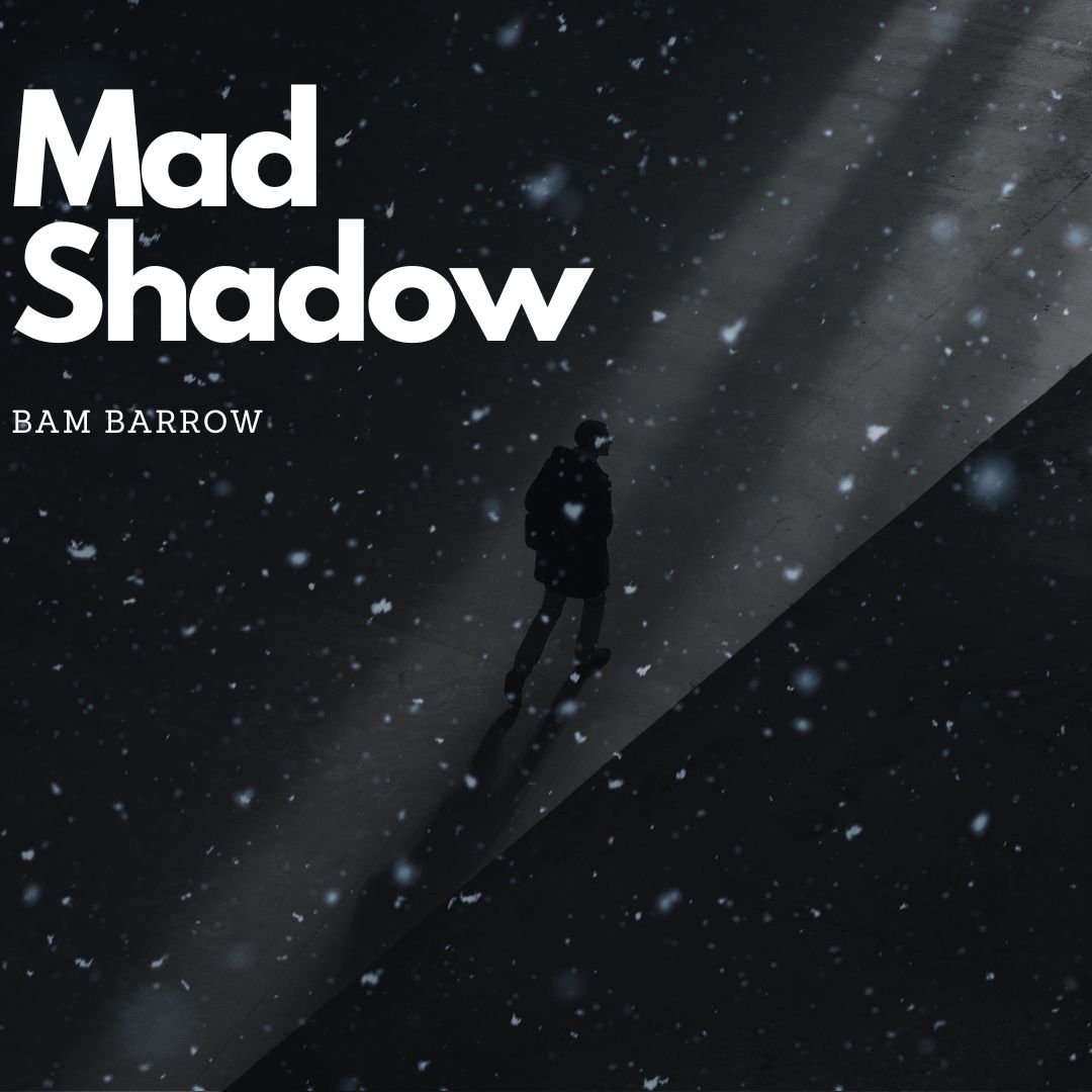 Mad Shadow – Bam Barrow – Urban Pigs Press