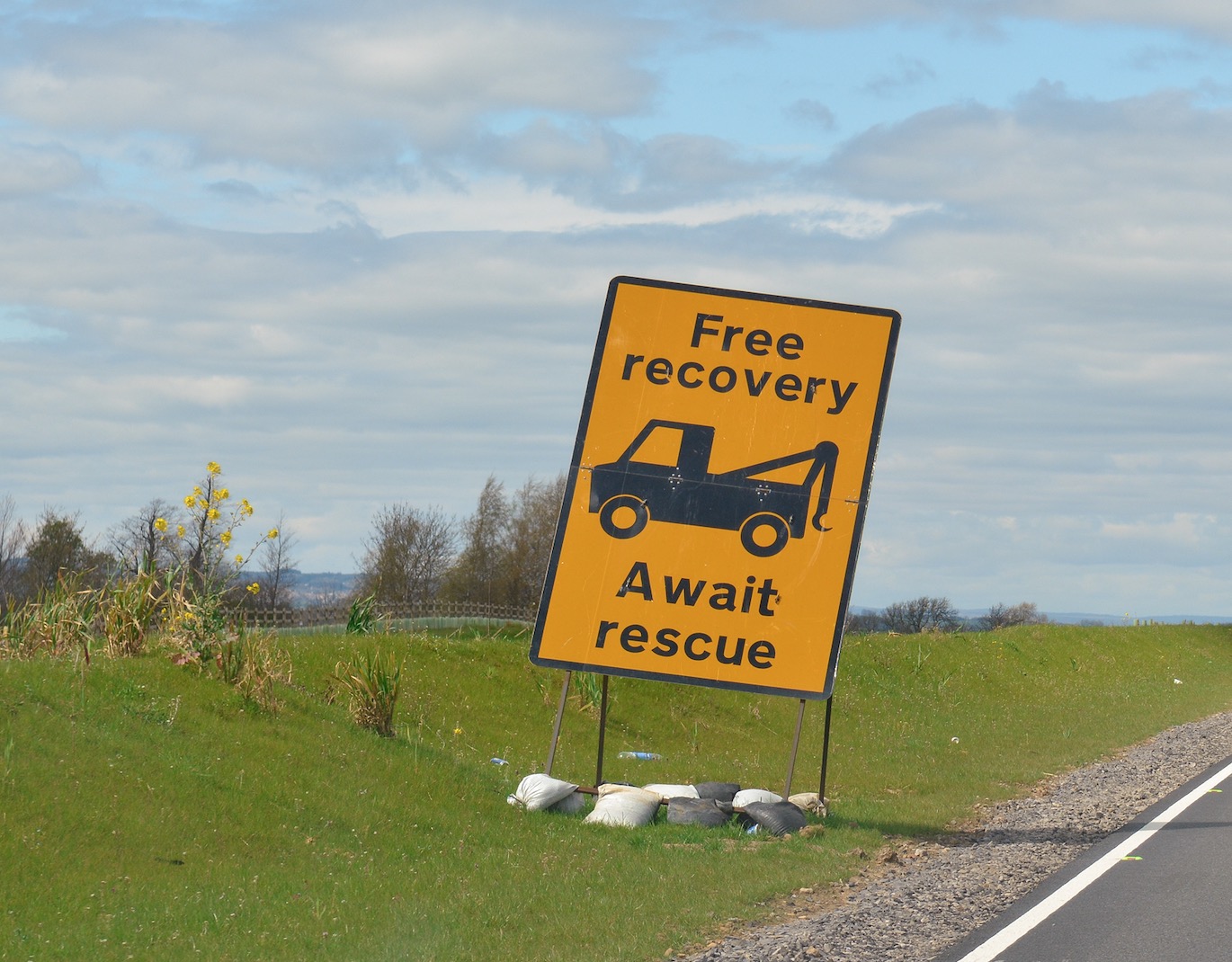 Free Recovery:Await Rescue – Virginia Betts – Urban Pigs Press